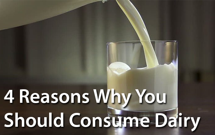 4 Reasons Why You Should Consume Dairy – Stefan Lamers 4 Reasons Why You Should Consume Dairy – Stefan Lamers